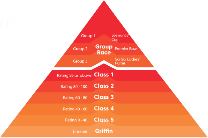 Hong Kong Racing Insights: A Deep Dive Into Class Five - Paulick Report ...