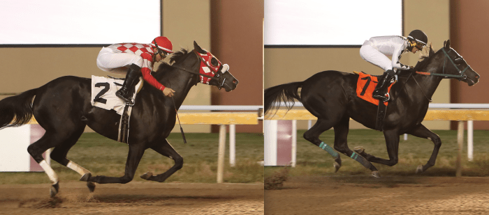 Full Siblings Win Wednesday At Remington Park For Different Breeders ...