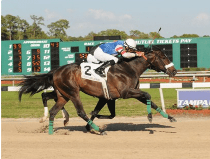 Kentucky Derby-Placed Musket Man Dies In Korea At Age 20 - Paulick ...
