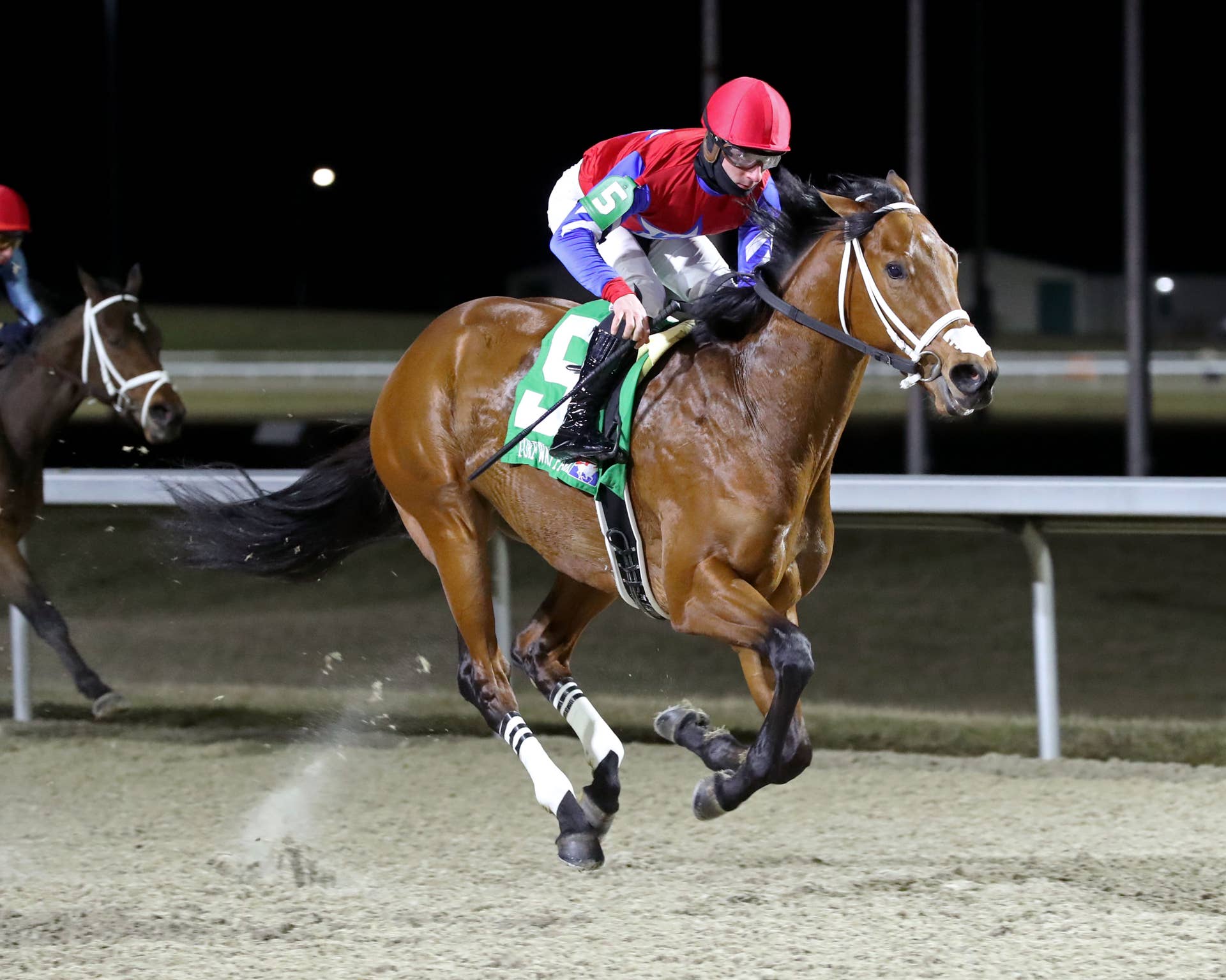 Epic Ride Impresses In Leonatus In Stakes Debut - Paulick Report ...