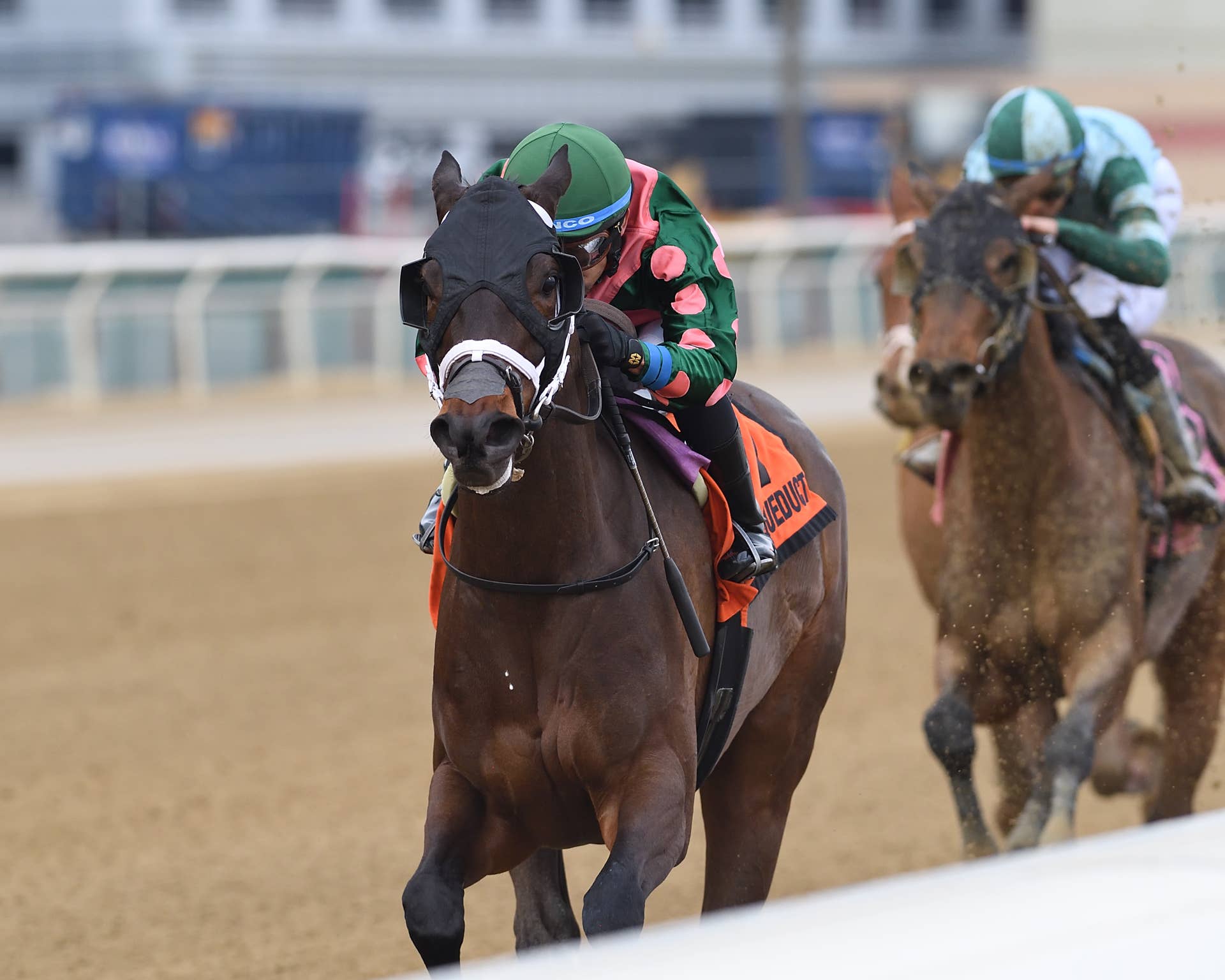 'We Think Our Filly Is Quality': Saddle Up Jessie Ships West For ...
