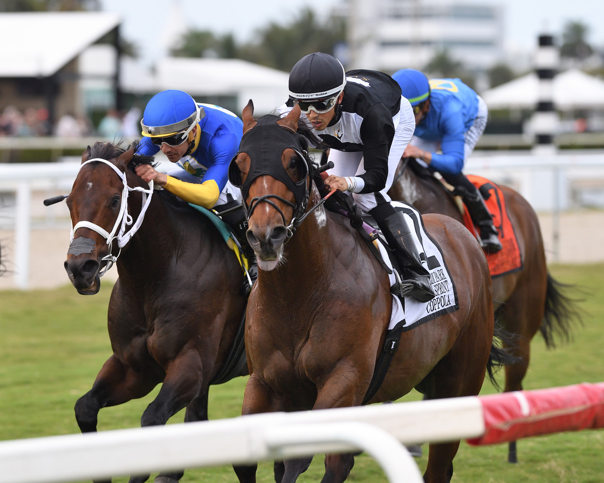 Coppola Kicks Late to Prevail in Gulfstream Park Turf Sprint - Paulick ...