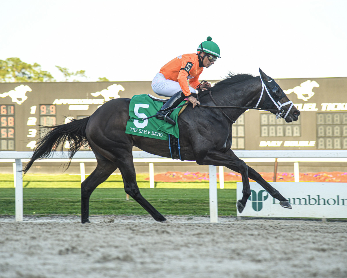 Road To The Kentucky Derby: Sam F. Davis Winner No More Time To Prepare ...