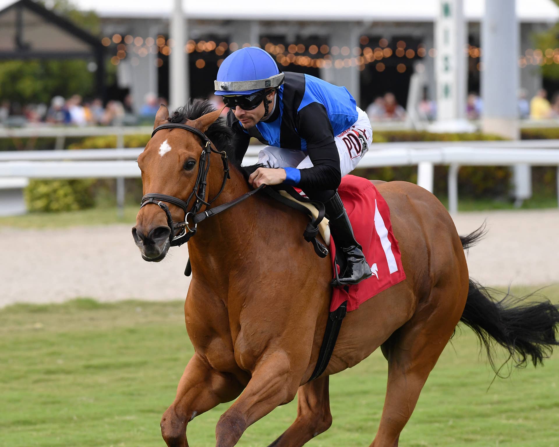 Jockey Of The Week: Junior Alvarado Records Florida Double - Paulick ...