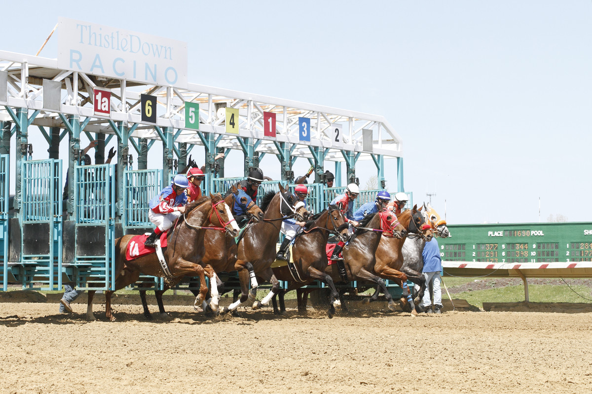 Thistledown: Horse Breaks Down In First Race, Rest Of Card Cancelled By ...