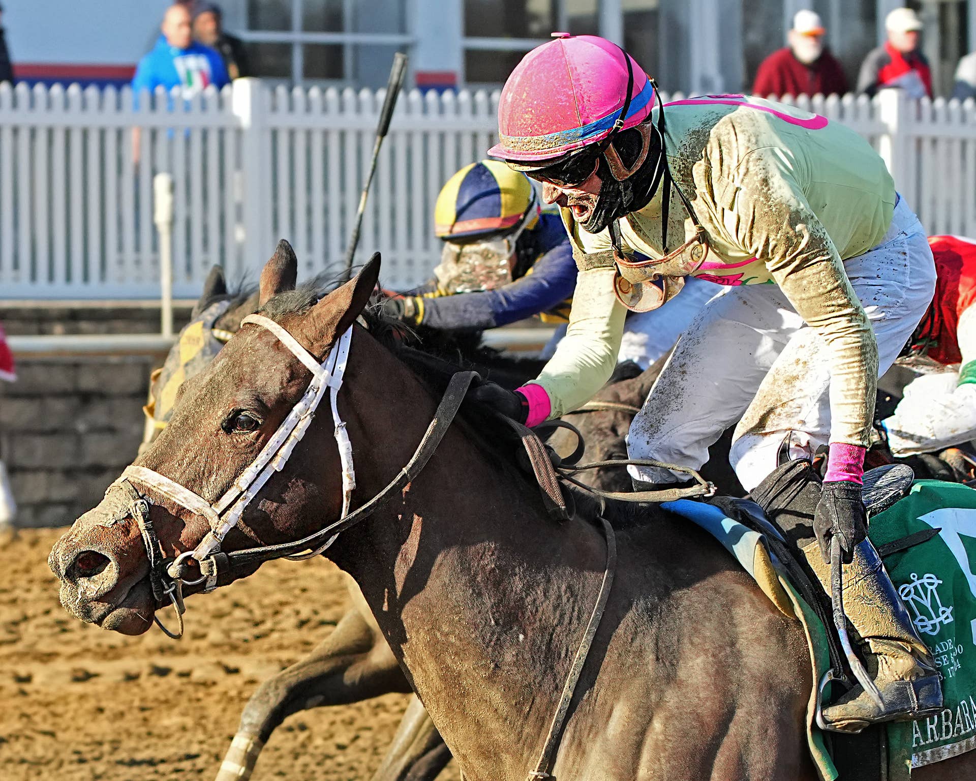 Apple Picker Makes The Grade In Barbara Fritchie - Paulick Report ...