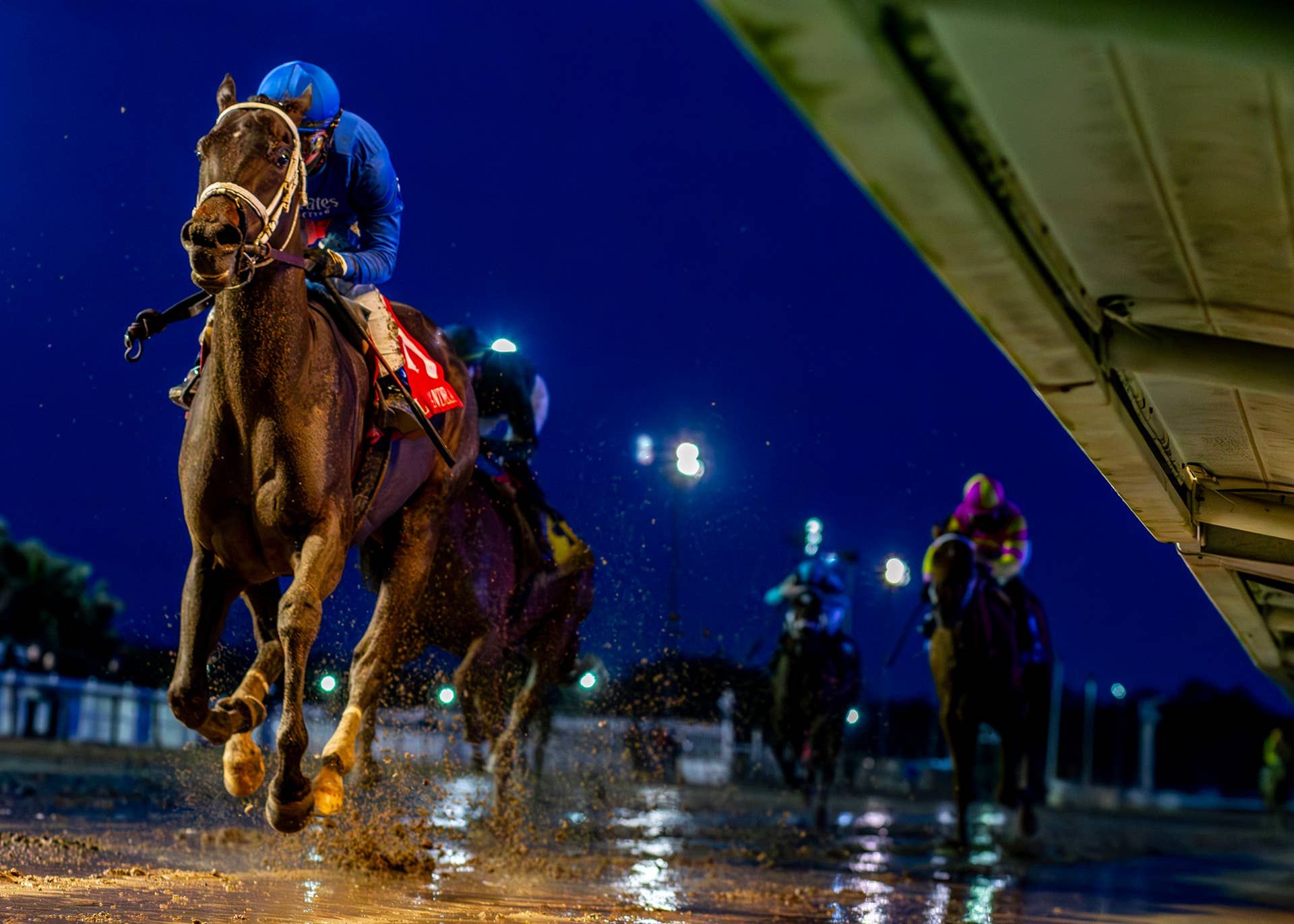 Bloodlines Presented By Walmac Farm: Tarifa Lighting A Spark On Her ...