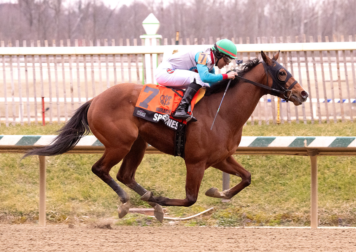 Laurel: Rodriguez Scores Stakes Double Aboard Speedyness In Miracle ...