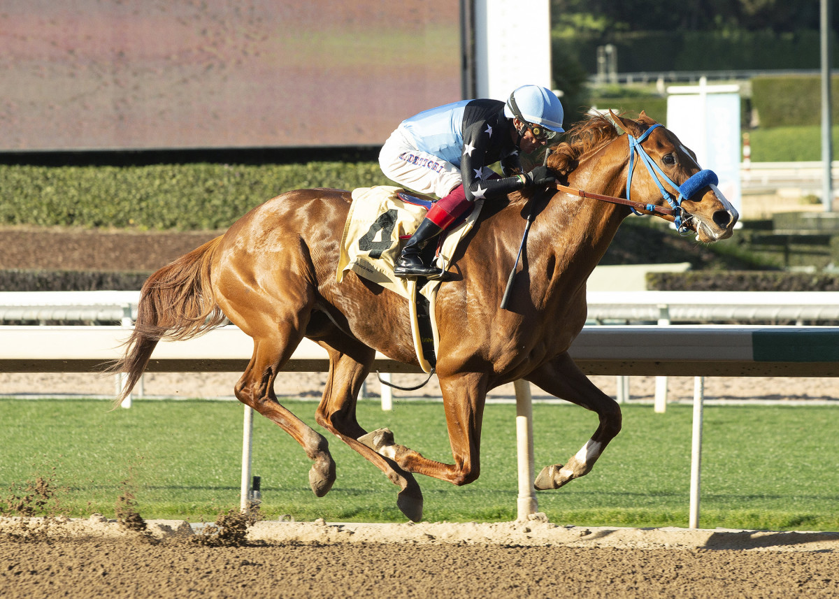 Highly-Regarded Judge Miller Makes Stakes Debut In Saturday's ...