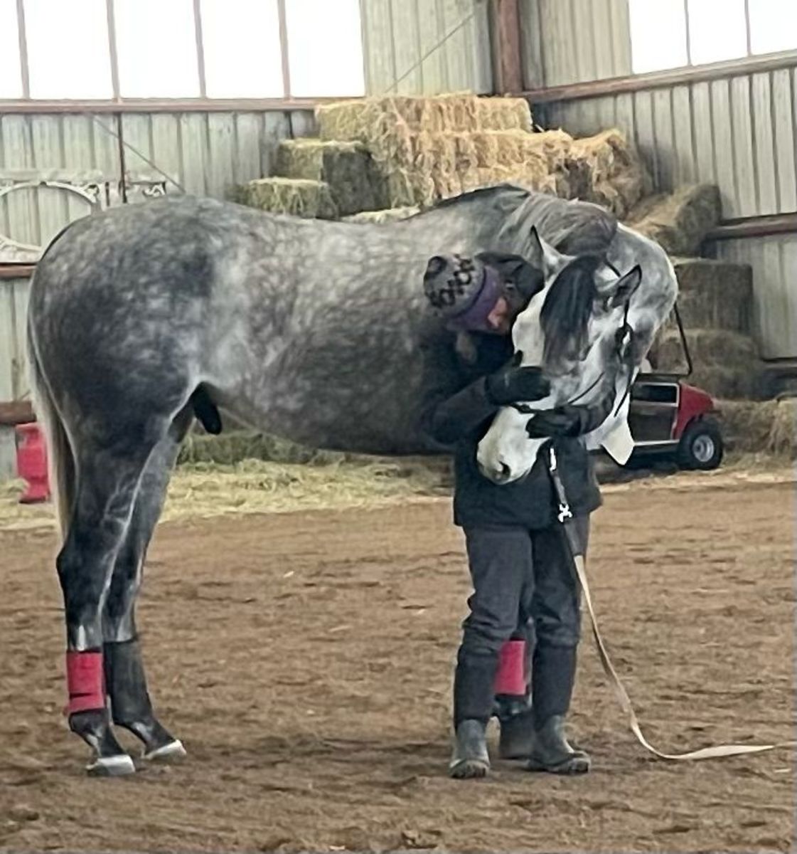 'Just Meant To Be': A Dream Come True For OTTB Silver Peak - Paulick ...