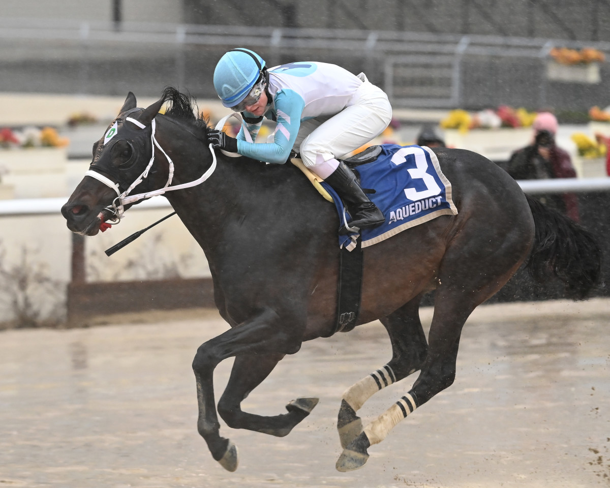 Super Chow Splashes To Victory In Tom Fool - Paulick Report | Latest ...