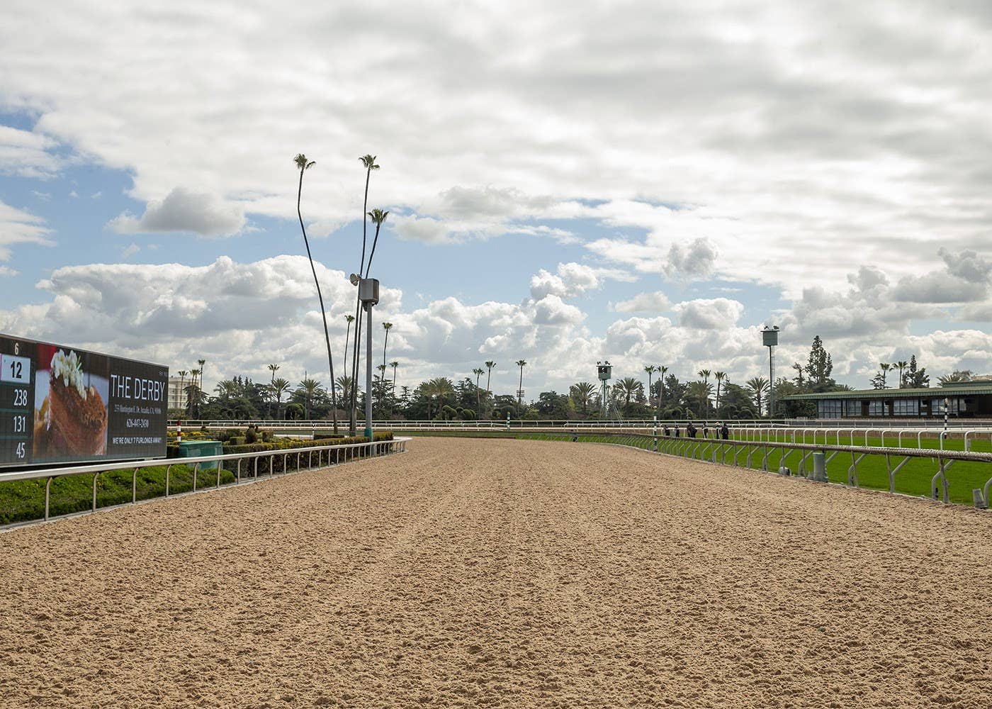 Santa Anita Opens New Tapeta Training Track - Paulick Report | Latest ...