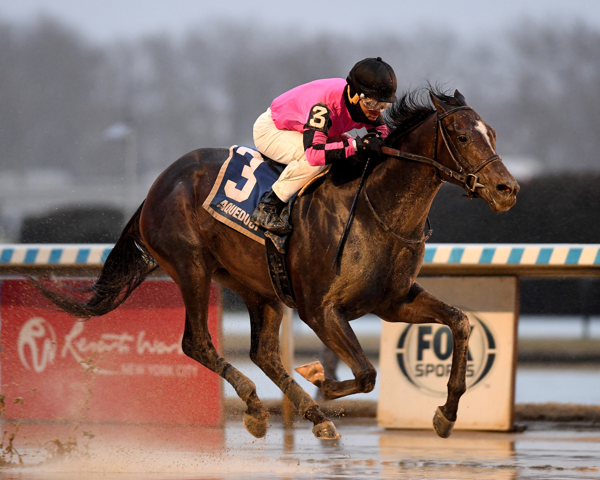 Deterministic, Grand Mo The First Headline 12-Strong Virginia Derby ...