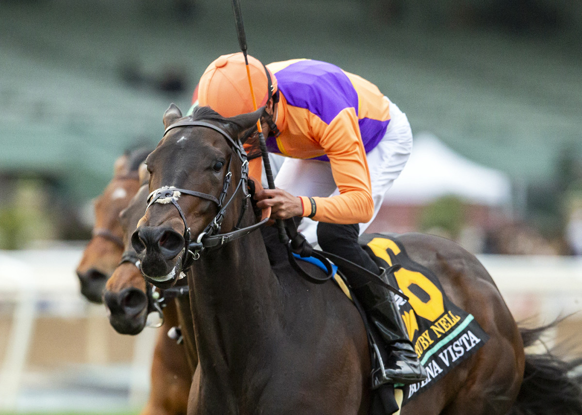 Ruby Nell Romps Gate To Wire In Buena Vista - Paulick Report | Latest ...