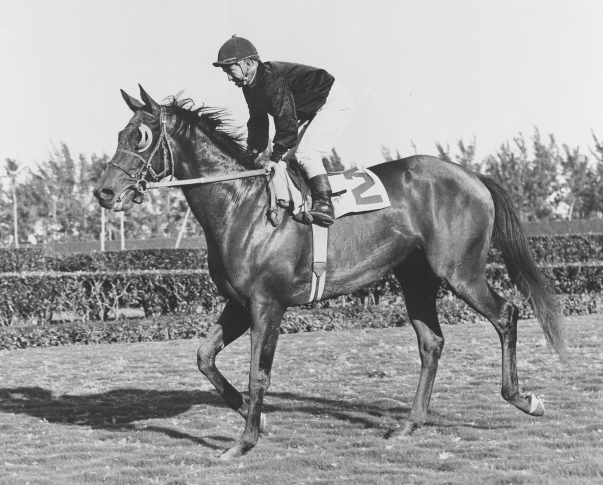 This Week In History: The Glory Days Of Hialeah Park In 1966 - Paulick ...