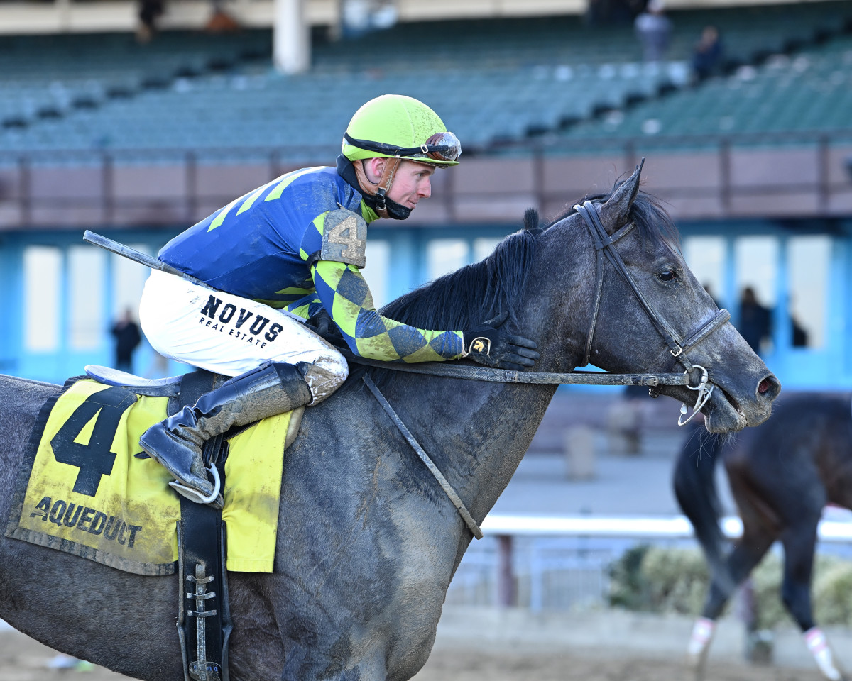 Pandagate Headlines Monday's New York Derby - Paulick Report | Latest ...