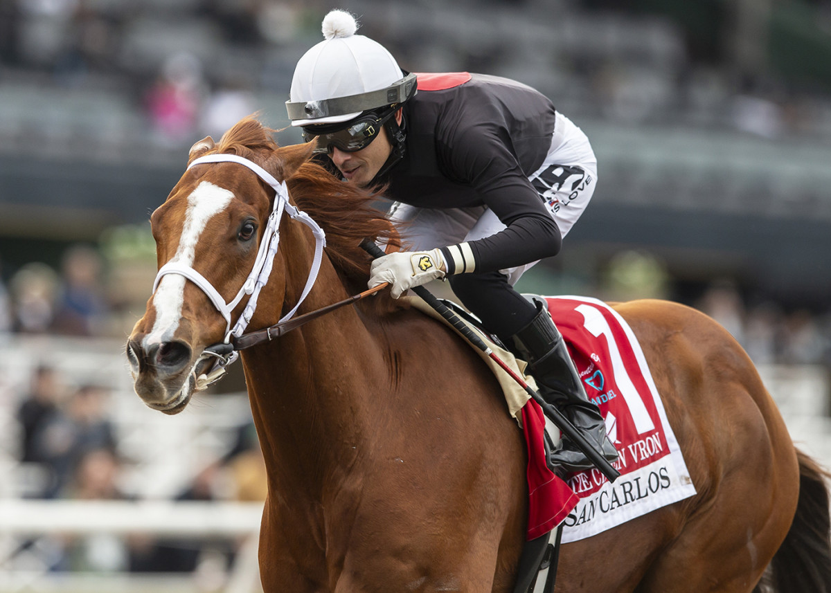 'Miraculous Racehorse' The Chosen Vron's Owners Win Inaugural ...