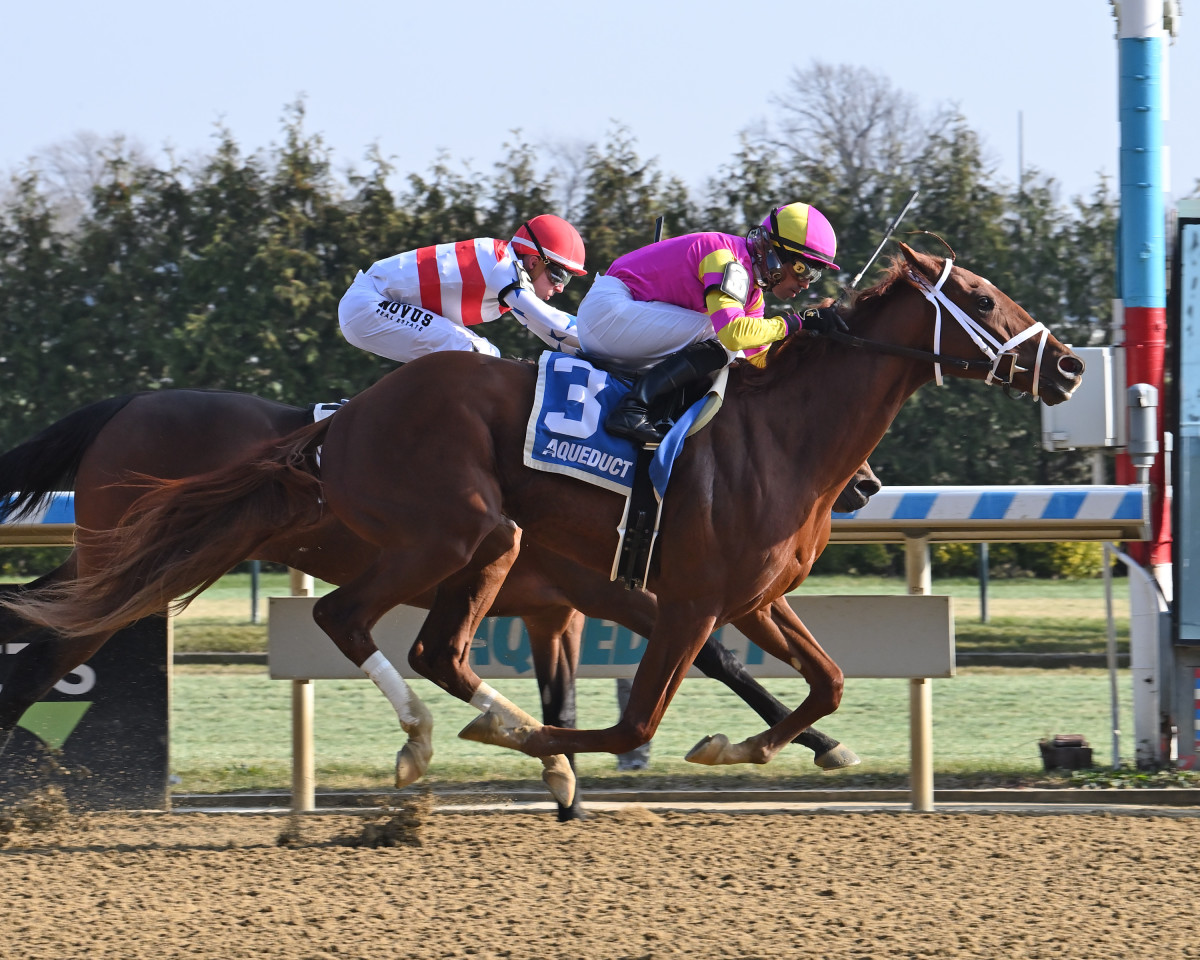'Horse That's Improving': Todd Pletcher-Trained Speed Runner Tops 3 ...