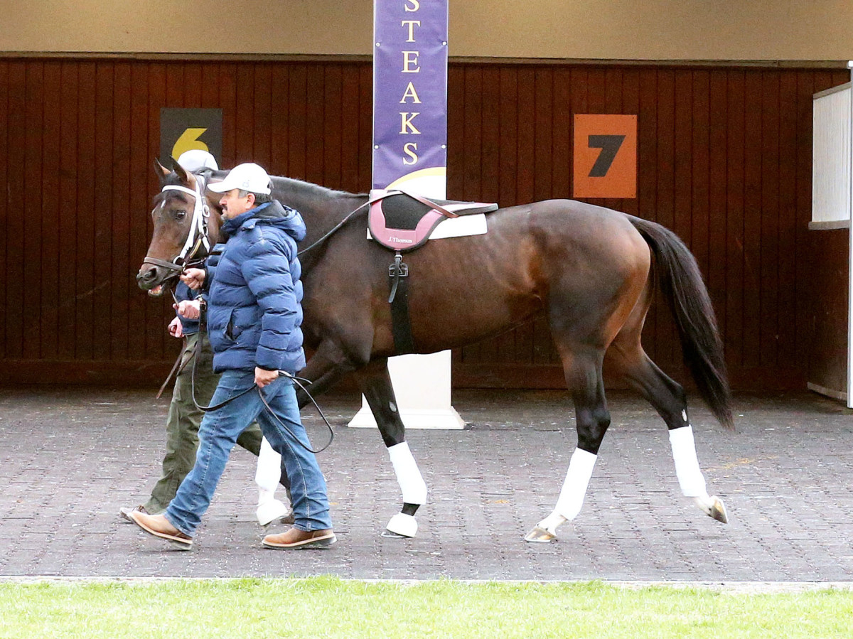 Jeff Ruby Steaks Favorite Endlessly 'A Feel-Good Type Of Horse ...