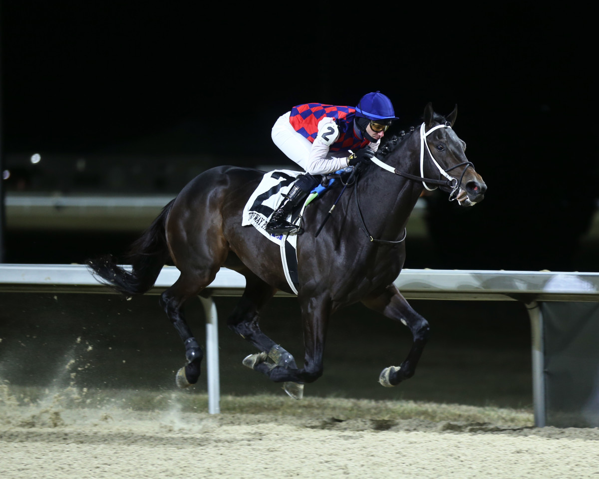 Society Man, Lonesome Boy, Evening News Among Possible Wood Memorial ...