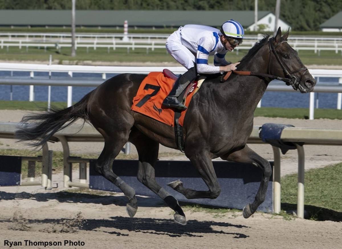 The Derby Bubble Presented By Kentucky-Breds: The Field Firms Up After ...