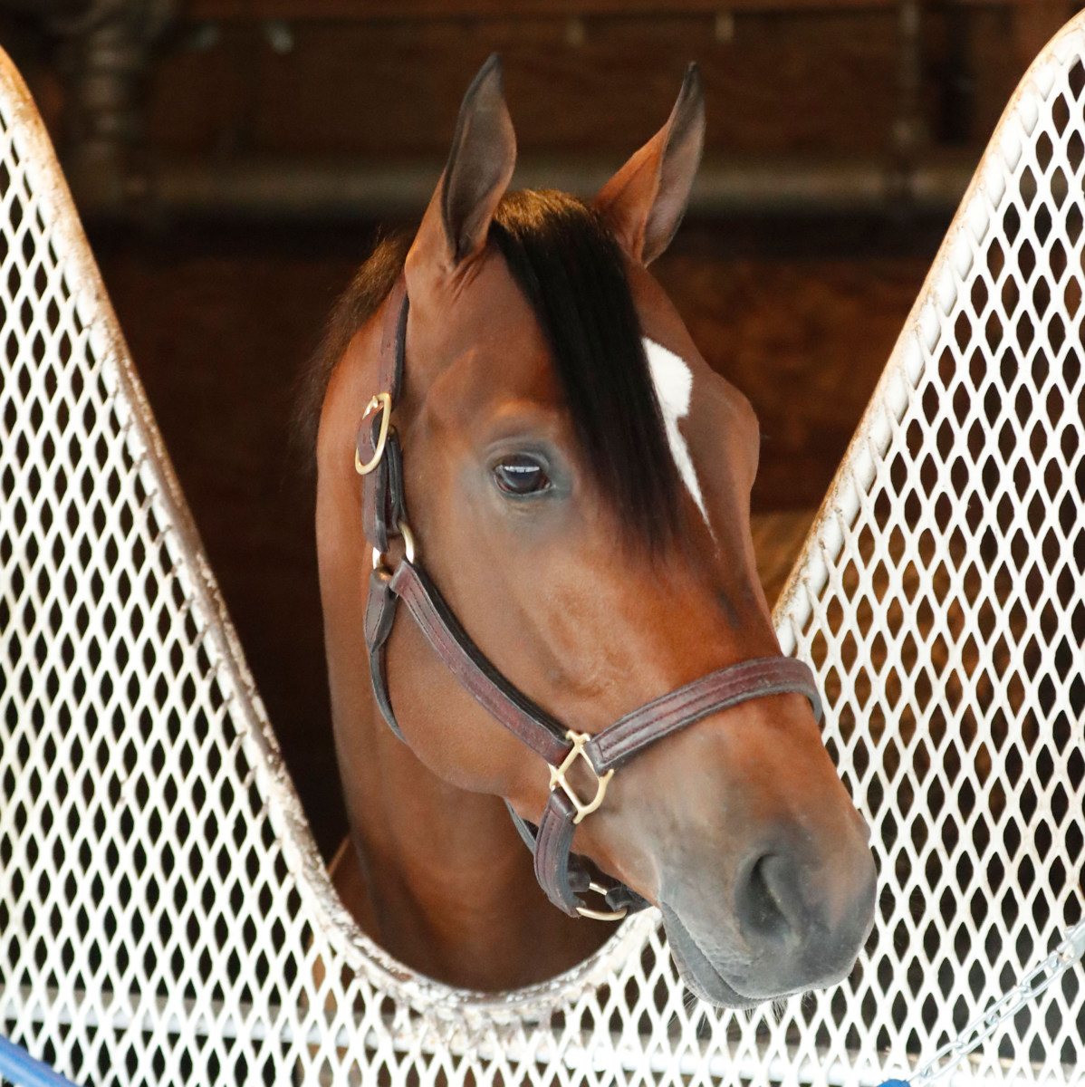 The Derby Bubble Presented By Kentucky-Breds: A New Name Tops The List ...