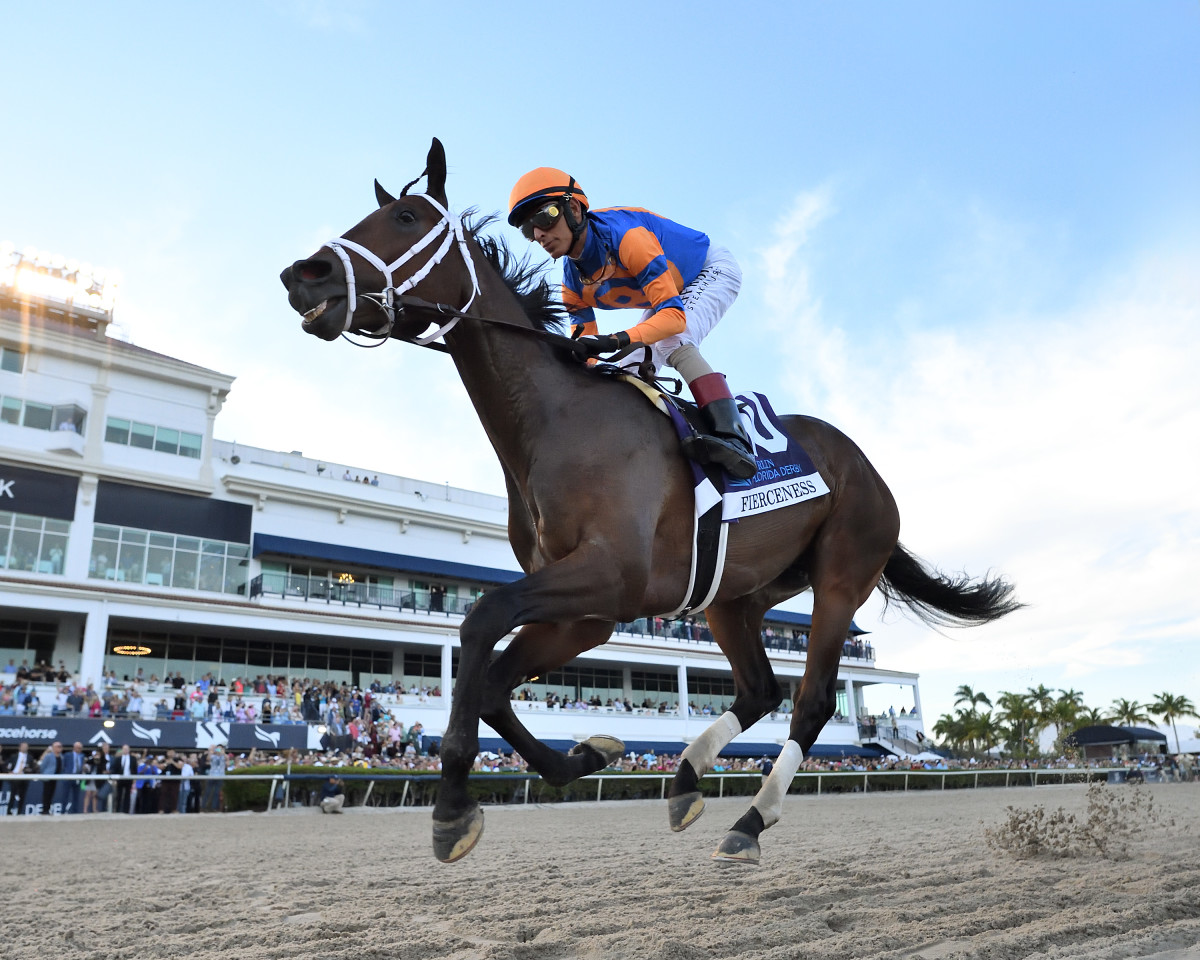 Gold Trophy Dreams: Horse Of The Year Contender Fierceness Was One That ...