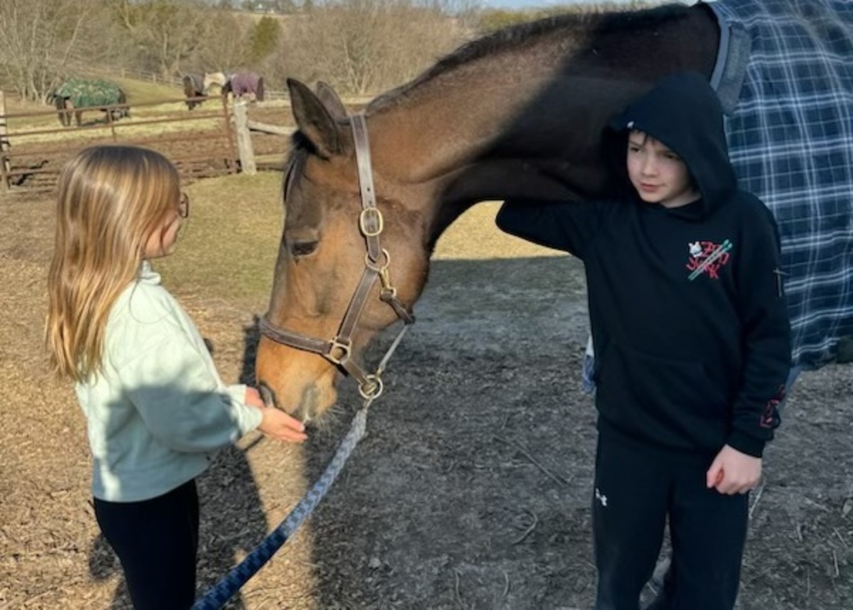 Out Of The 'Blu': Gentle Graded Stakes Winner Finds New Family Via ...