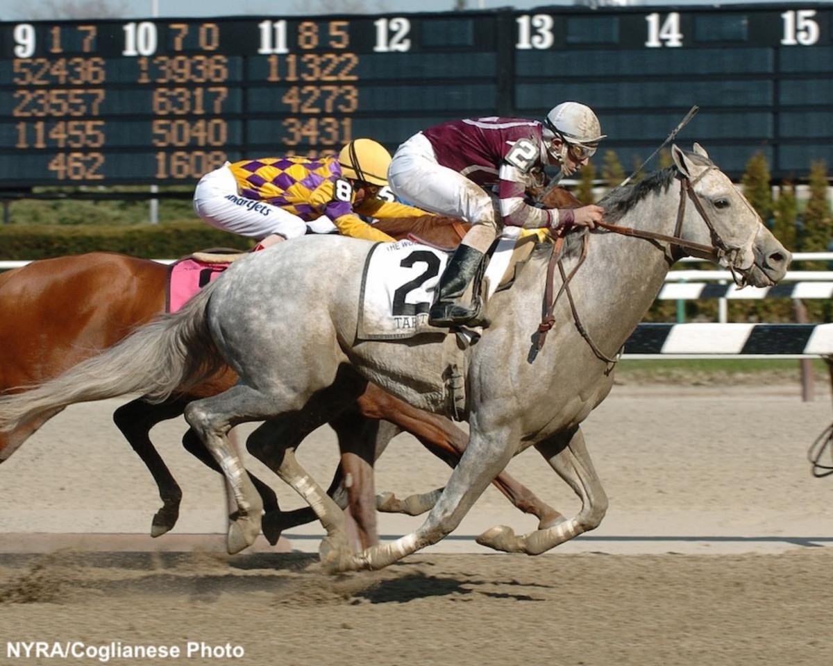 Remembering the 2004 Wood Memorial: Before Tapit was Tapit - Paulick ...