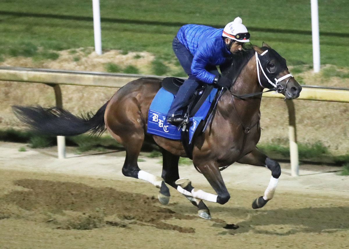 Louisiana Derby Winner Catching Freedom 'Settled In' At Churchill Downs ...
