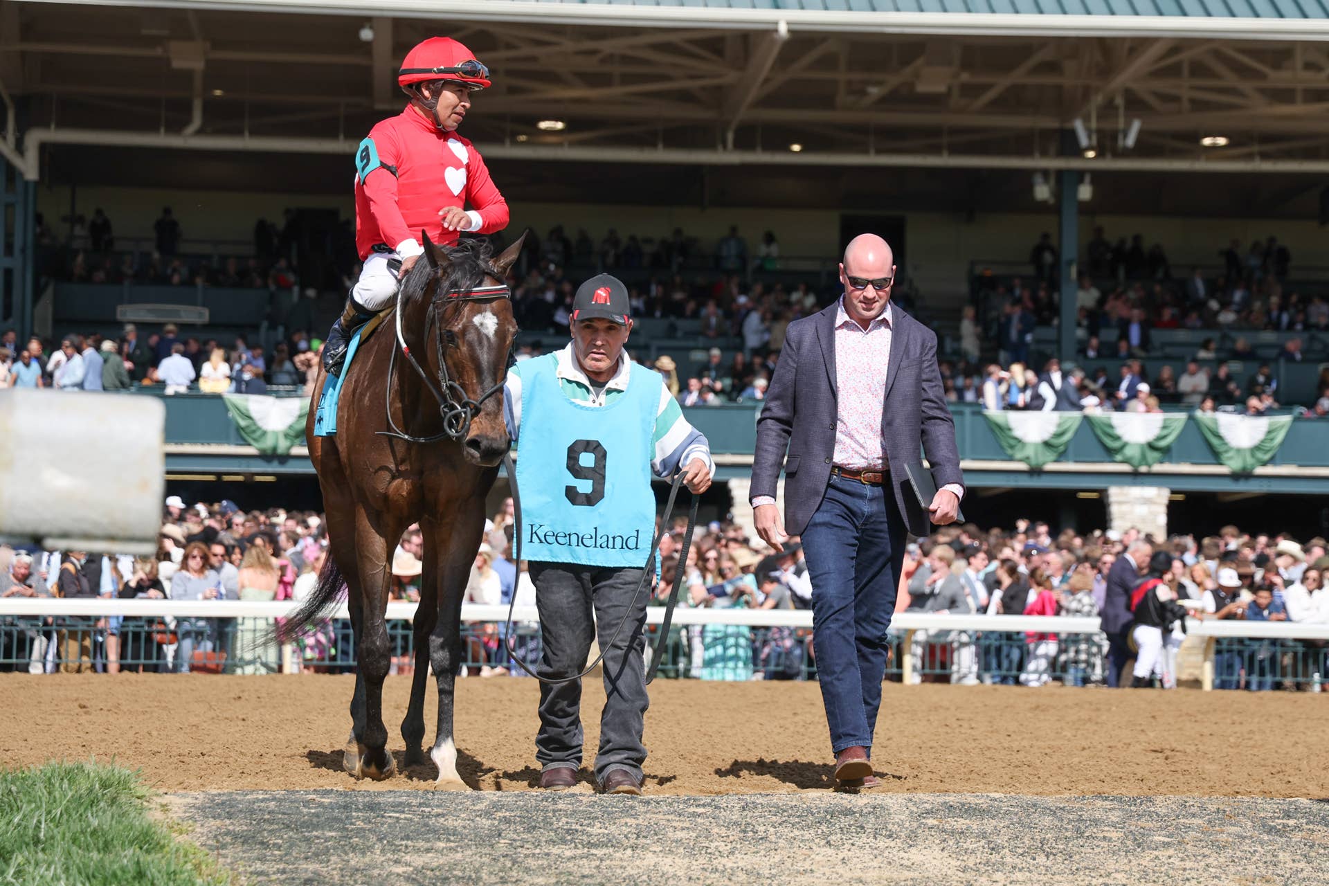 Del Mar Summer: Bauer Hoping Pace Makes The Race For Buchu In Del Mar ...