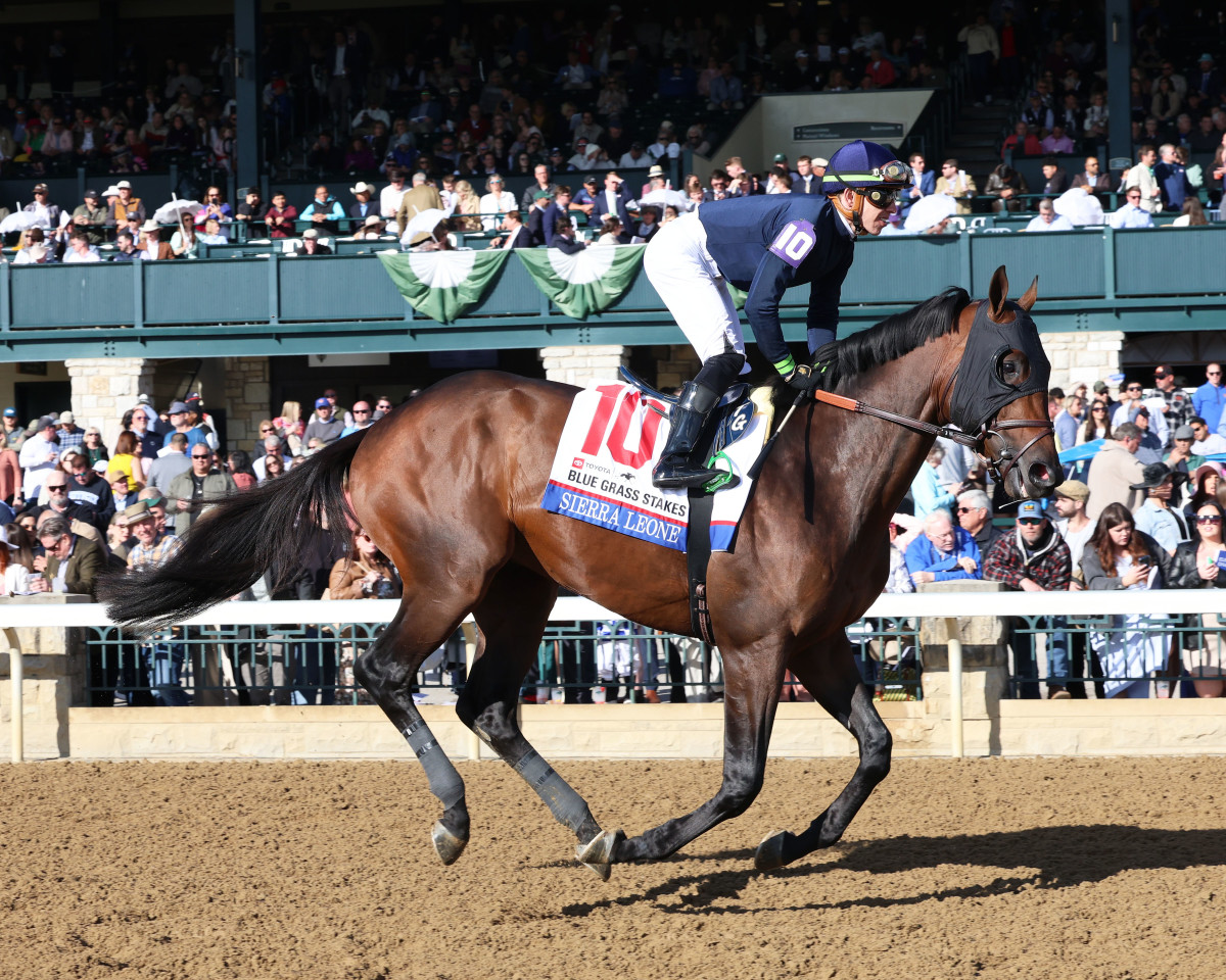 Sierra Leone Leads Chad Brown-Trained Breeders’ Cup Hopefuls On Belmont ...