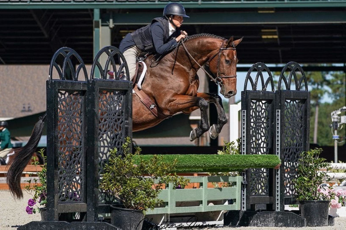 Thoroughbred Incentive Program Announces Winners Of 2023 Performance ...