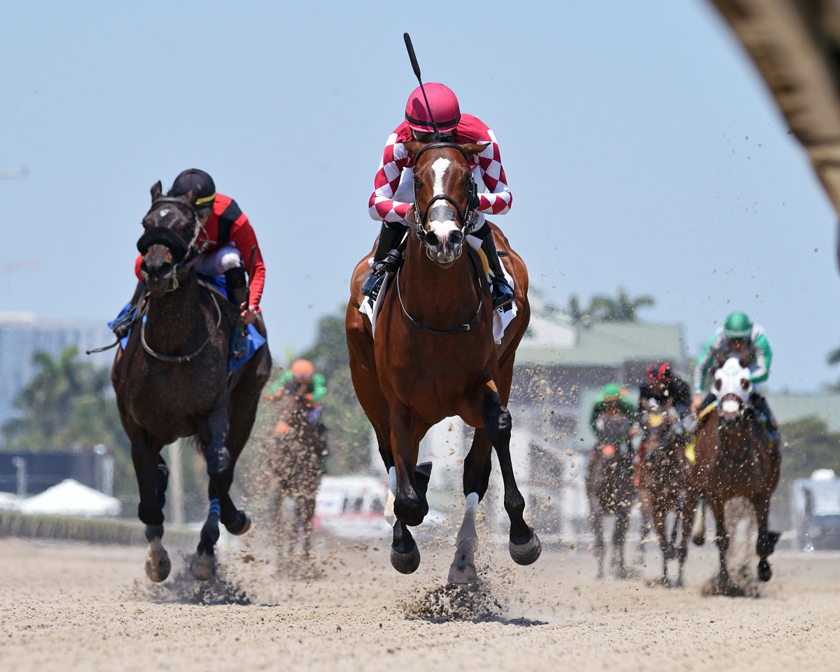 Mensa Gives Freshman Sire Complexity First Winner At Gulfstream ...