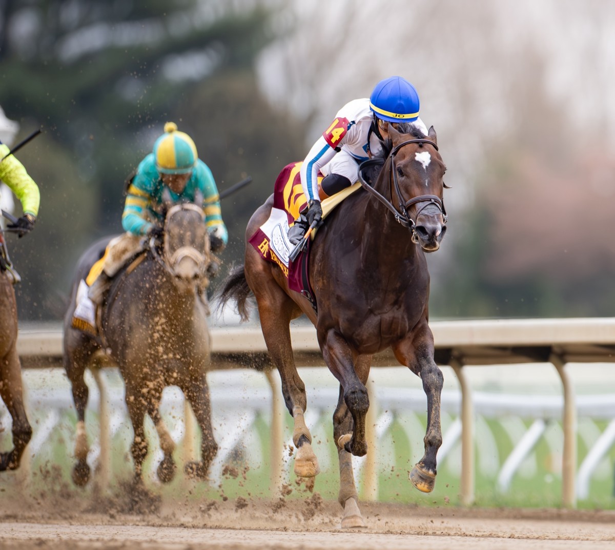 Favored Hot Beach Romps In Off The Turf Limestone At Keeneland ...
