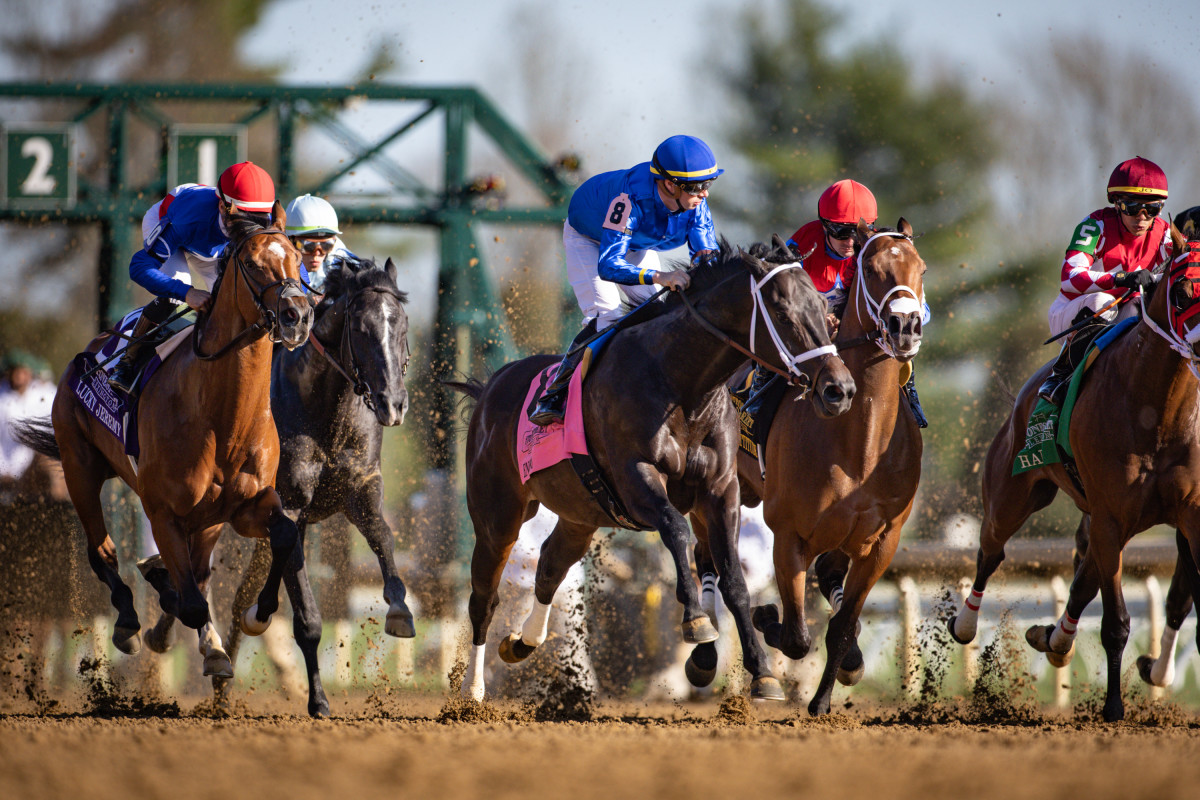 Encino Rolls Gate To Wire In Lexington - Paulick Report | Latest news ...