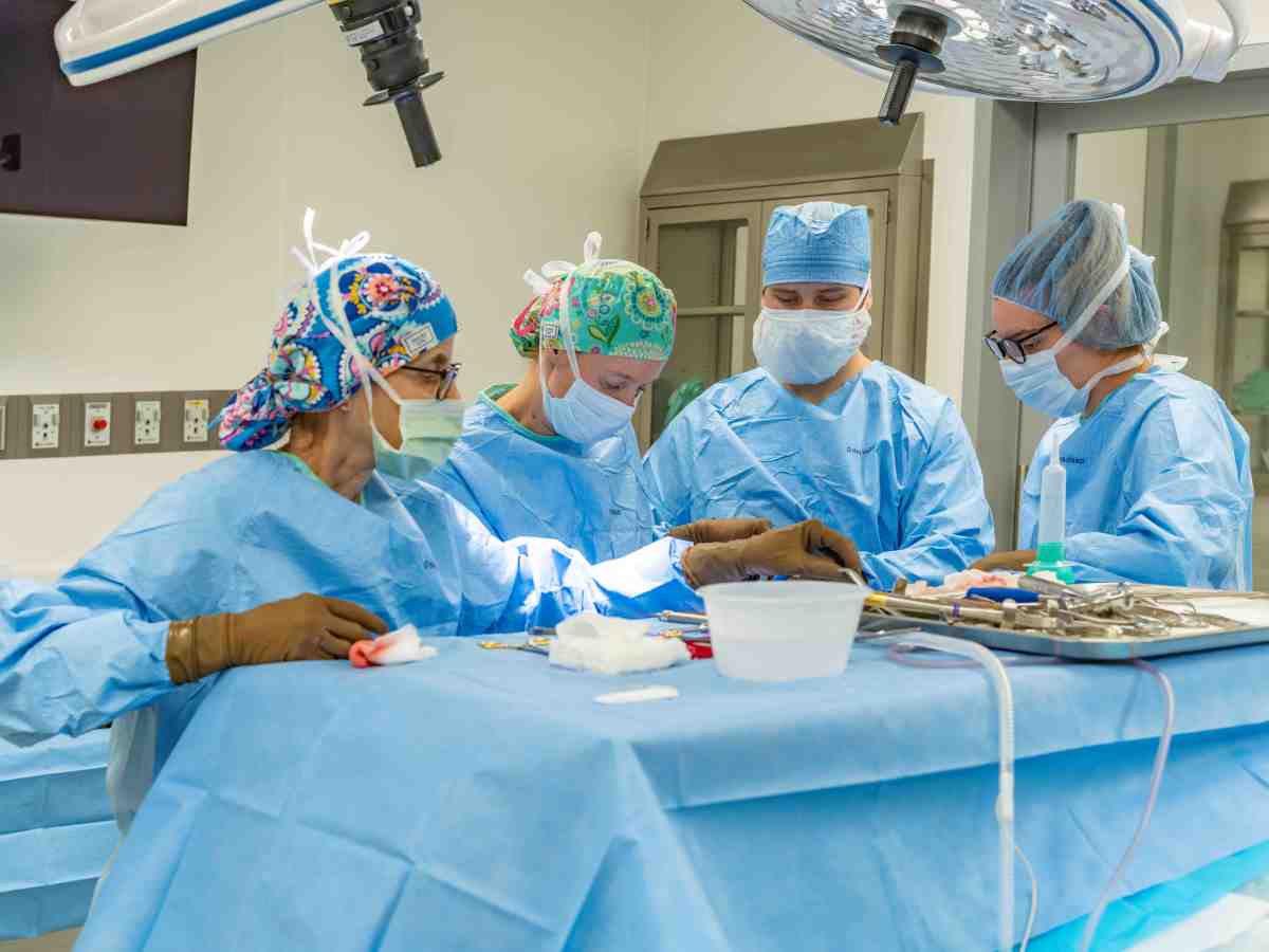 UC Davis Opens Center For Advanced Veterinary Surgery - Paulick Report ...