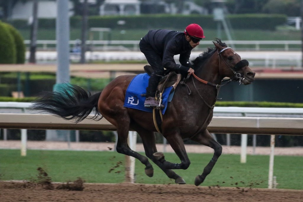 Weekend Lineup Presented By Monmouth Park: Summer Derbies Ramping Up ...