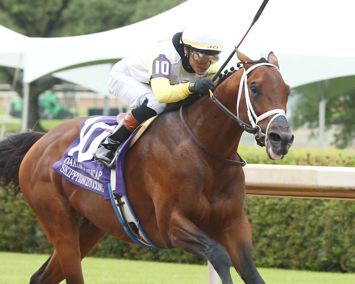 Stephen Foster: Skippylongstocking Has 'Gotten Better And Better ...