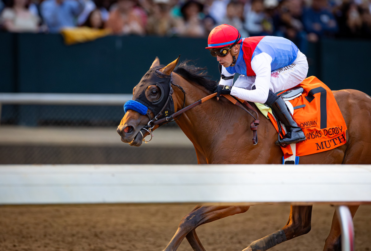 Grade 1 Winner Muth To Stand At Gainesway Upon Retirement - Paulick ...