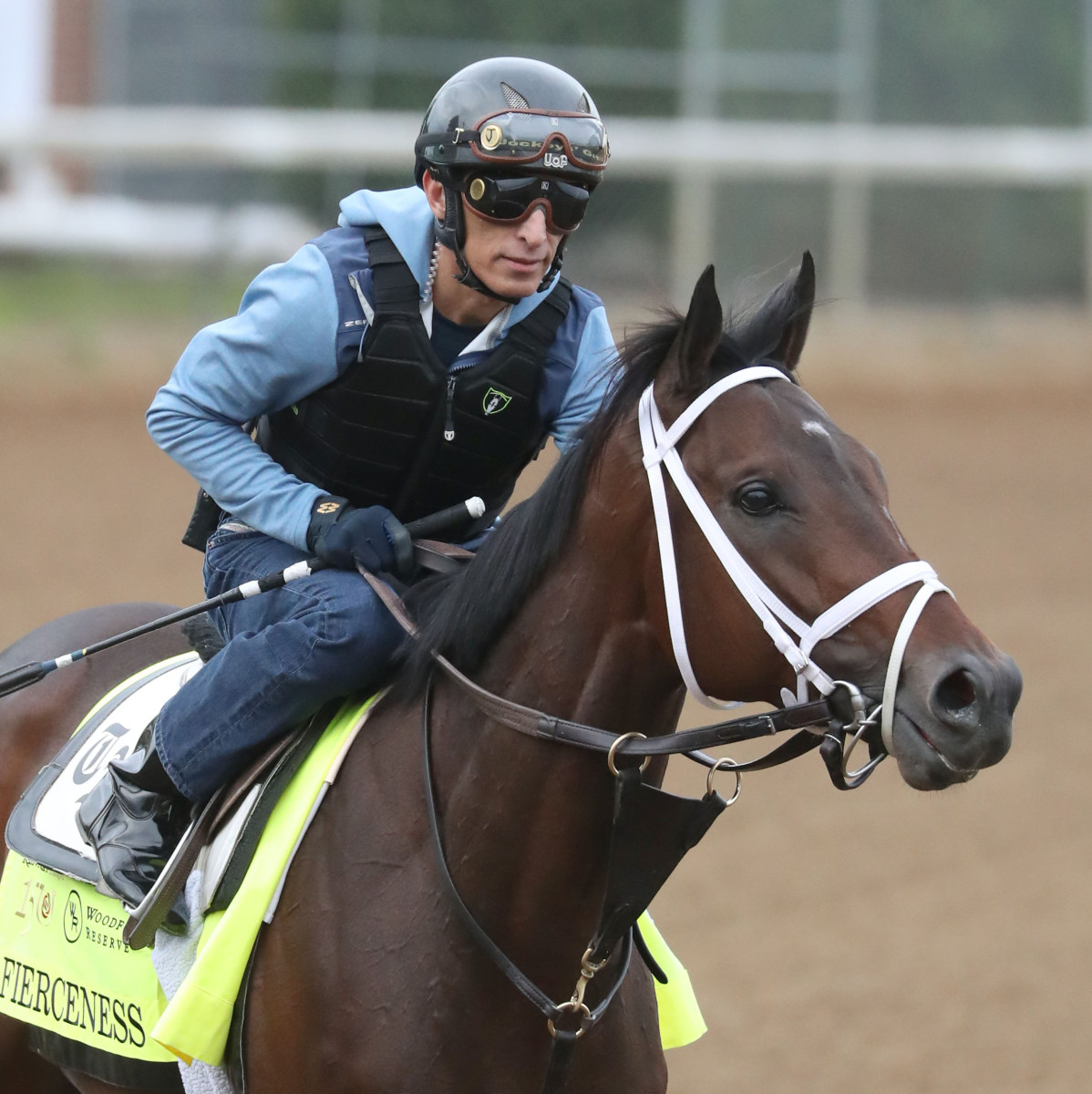 Kentucky Derby: Fierceness Gets Top Marks For Friday Breeze - Paulick ...