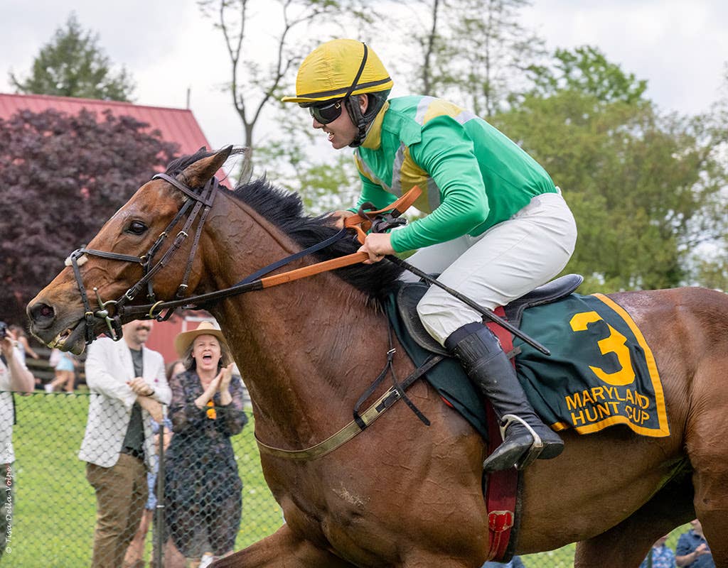 Steeplechase: Maryland Hunt Cup, Foxfield Top Saturday Action - Paulick ...