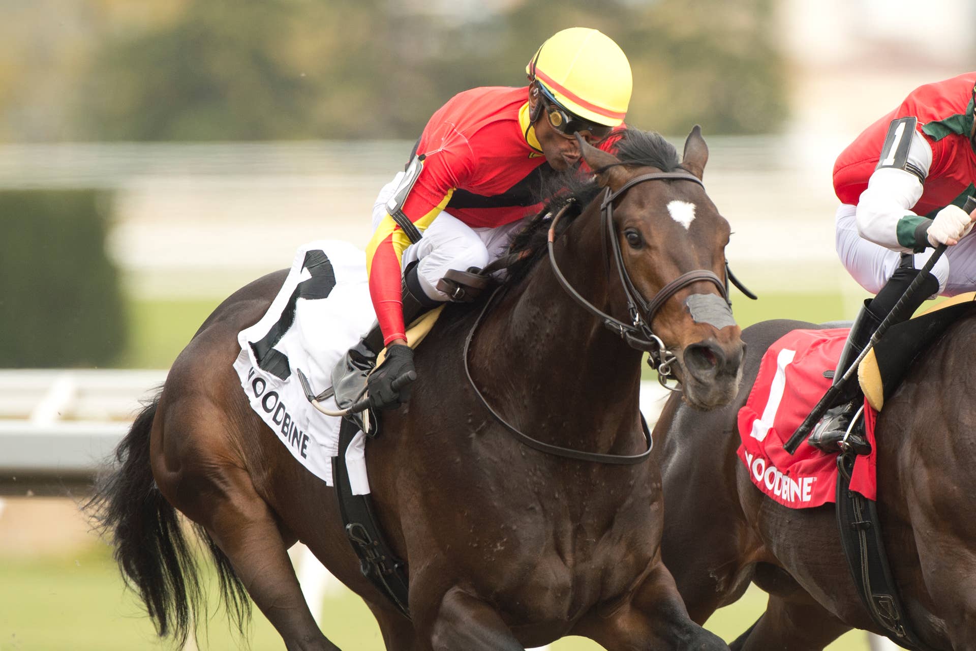 Midnight Mascot Edges Pacesetter With Late Lunge In Woodstock - Paulick ...
