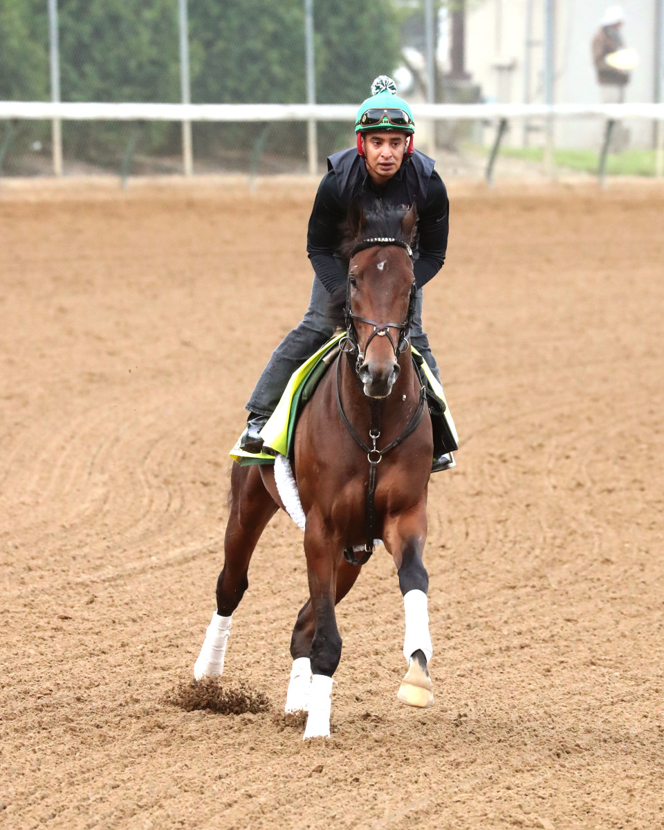 Bill Mott Giving 'Strong Consideration' To Running Resilience In ...