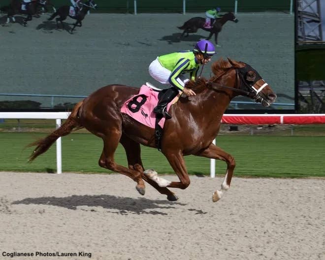 Kentucky Derby Pedigree Corner Presented By FanDuel Racing: Stronghold ...