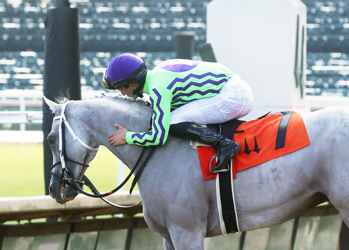 'Seabiscuit-Type Story': Next's Rise To Dominance Began With $62,500 ...