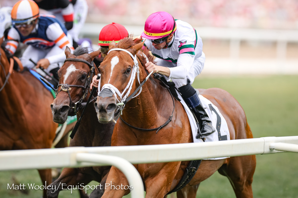 Ova Charged Turns Back Challengers To Win G3 Unbridled Sidney - Paulick ...