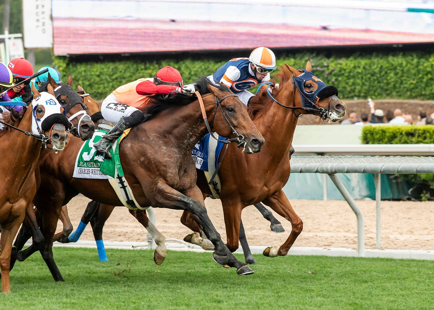Gold Phoenix Returns To Form With Narrow Victory In G2 Whittingham ...