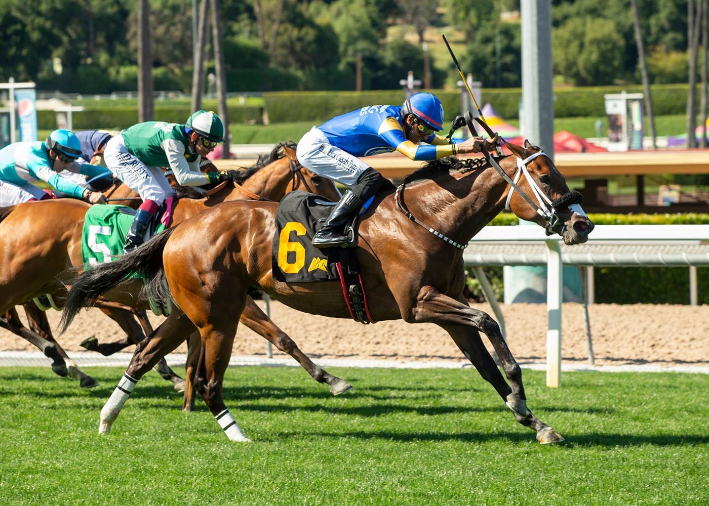 Visually Provides Trainer Barocio With Breakthrough Graded Win In ...