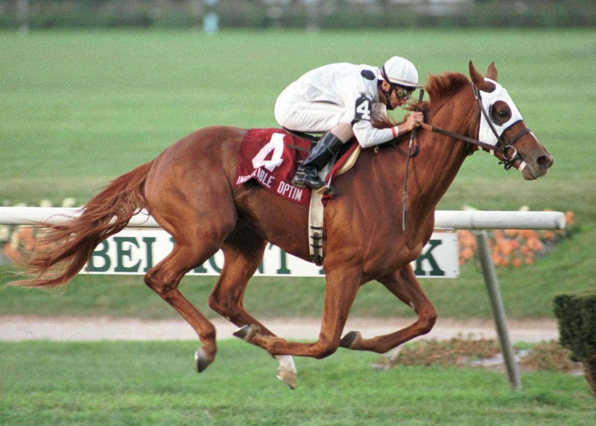 Incurable Optimist, New York's 1998 Horse Of The Year, Leaves Behind ...